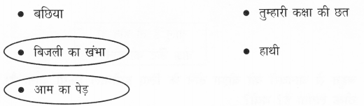 NCERT Solutions for Class 2 Hindi Chapter 1 ऊँट चला - ncertlibrary.com